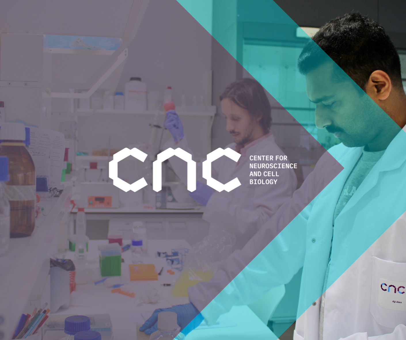 CNC has 12 scientists on the “World’s Top 2% Scientists 2022” list | CNC UC