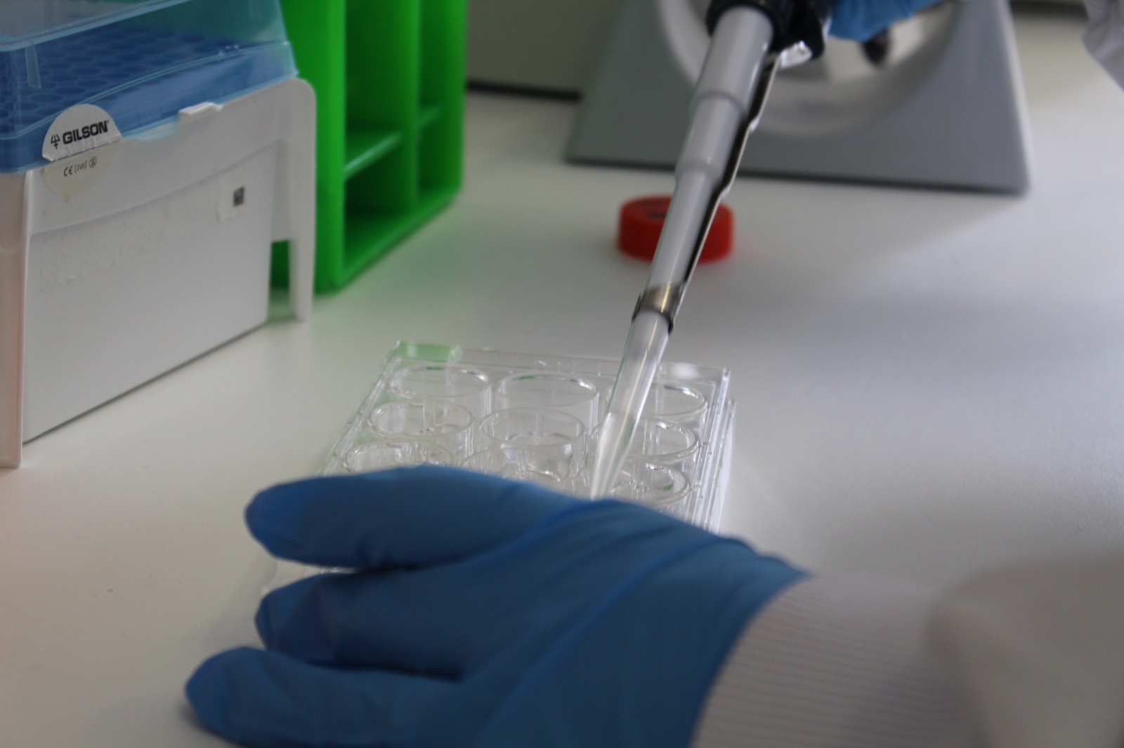 UC and Stemlab sign partnership to provide stem cells for research ...